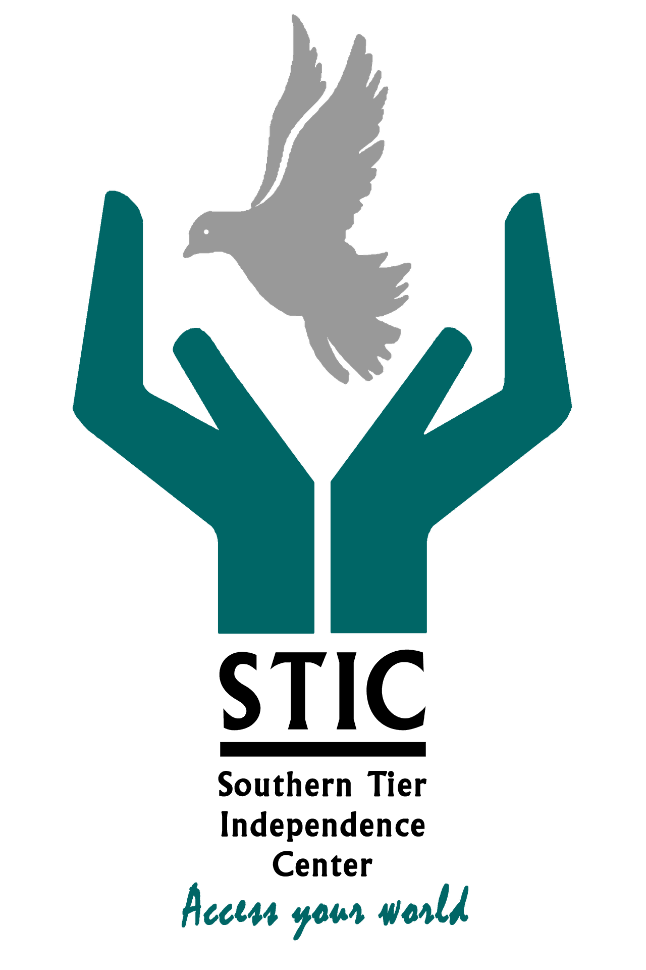 COMMUNITY TRANSITION SERVICES | Southern Tier Independence Center